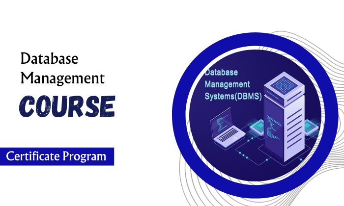 Get % OFF on Our Courses — VOKS Institute